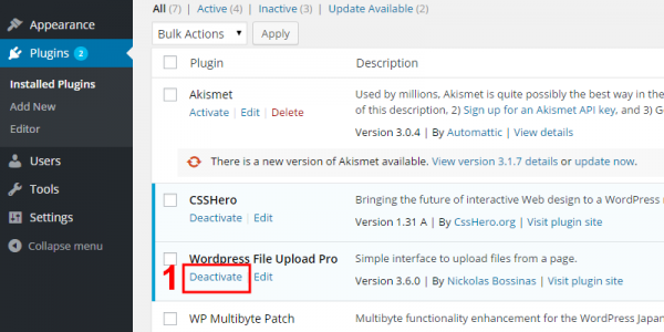 How to Update Wordpress File Upload Pro - Iptanus